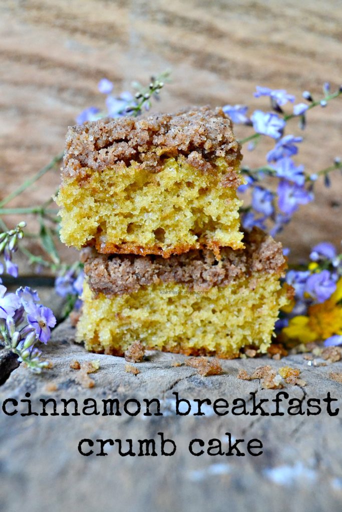 Cinnamon Breakfast Crumb Cake