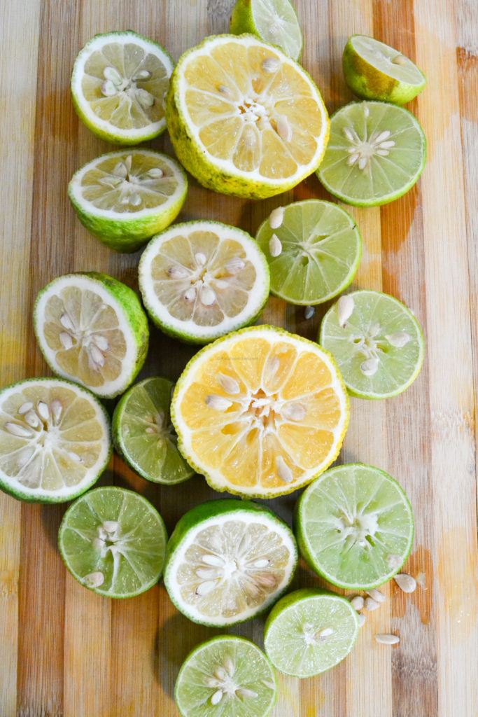 Back To Basics - Uji ya Wimbi