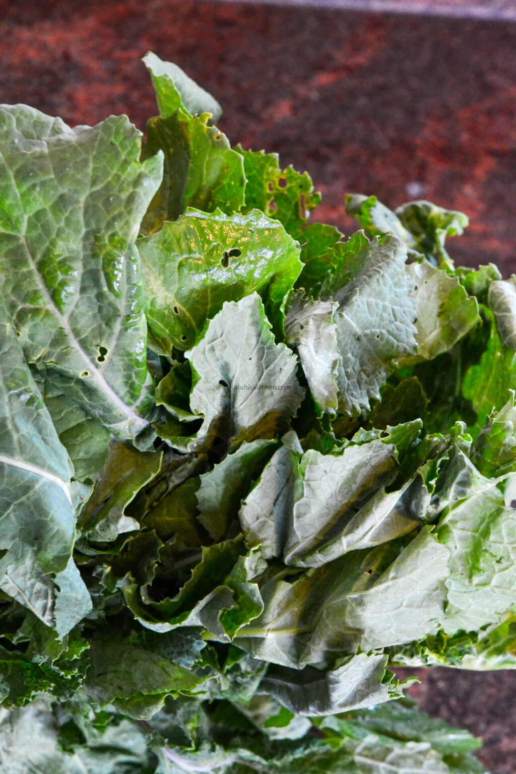 Garlic Coconut Cream Tsisagaa (Chinsaga/Saget)